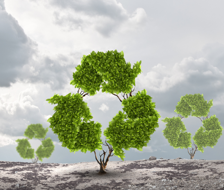 Démarche RSE | Quonex Alsatel